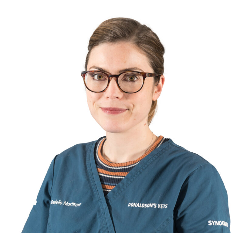 Almondbury – donaldsons