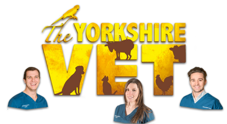 The Yorkshire Vet – donaldsons